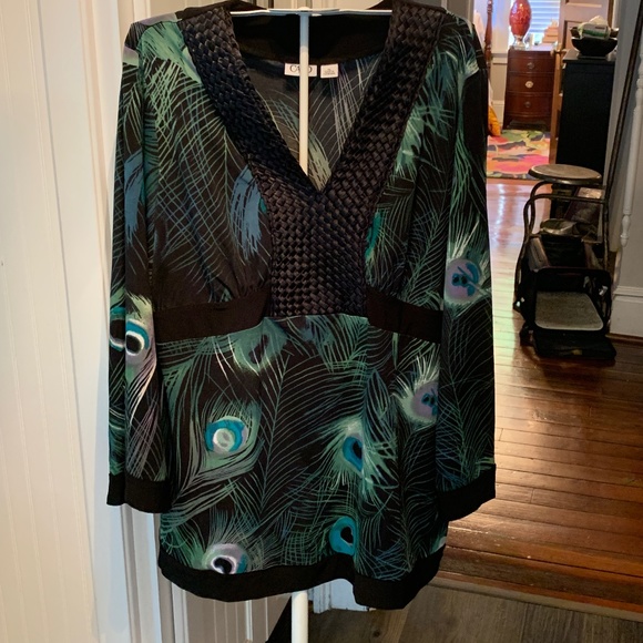 Cato | Tops | Cato Peacock Feather V Neck Tunic Worn Twice | Poshmark